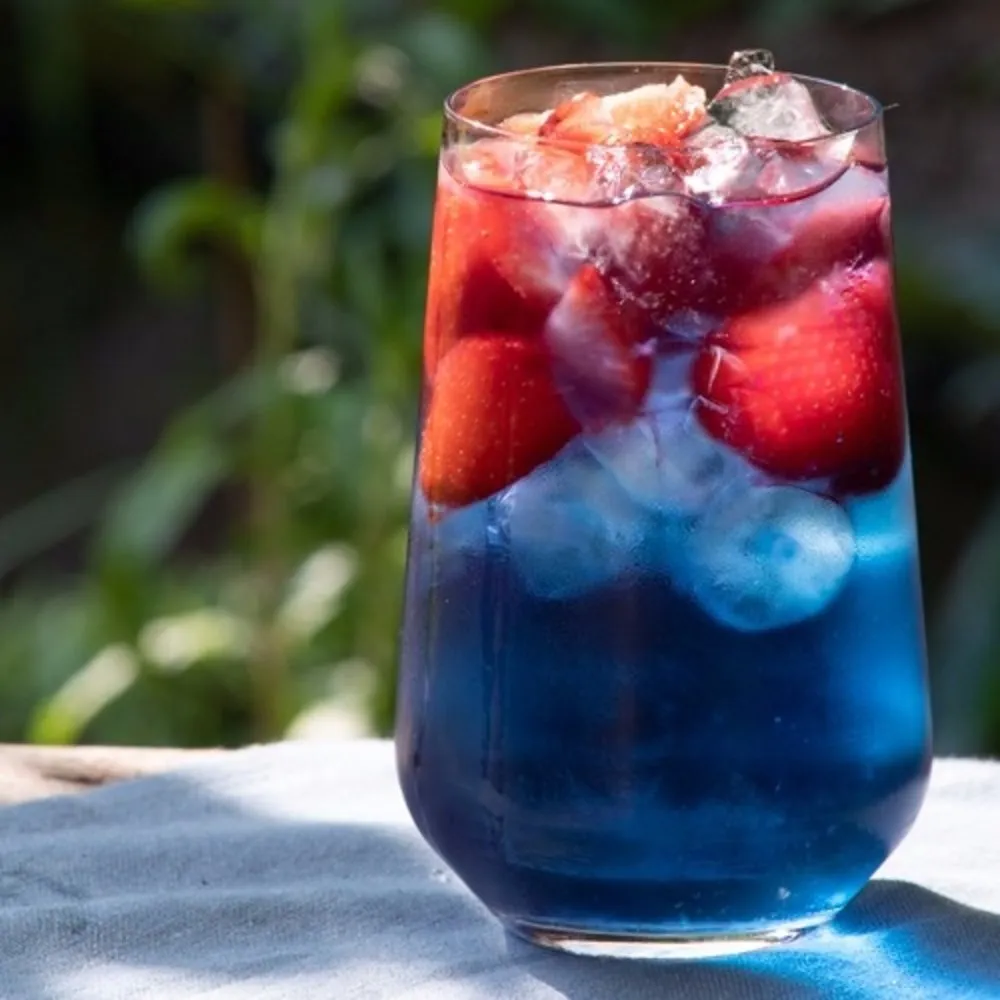 Bio Blue Butterfly Pea Tea ( Blauwe thee) thee kopen? - De Theeplantage
