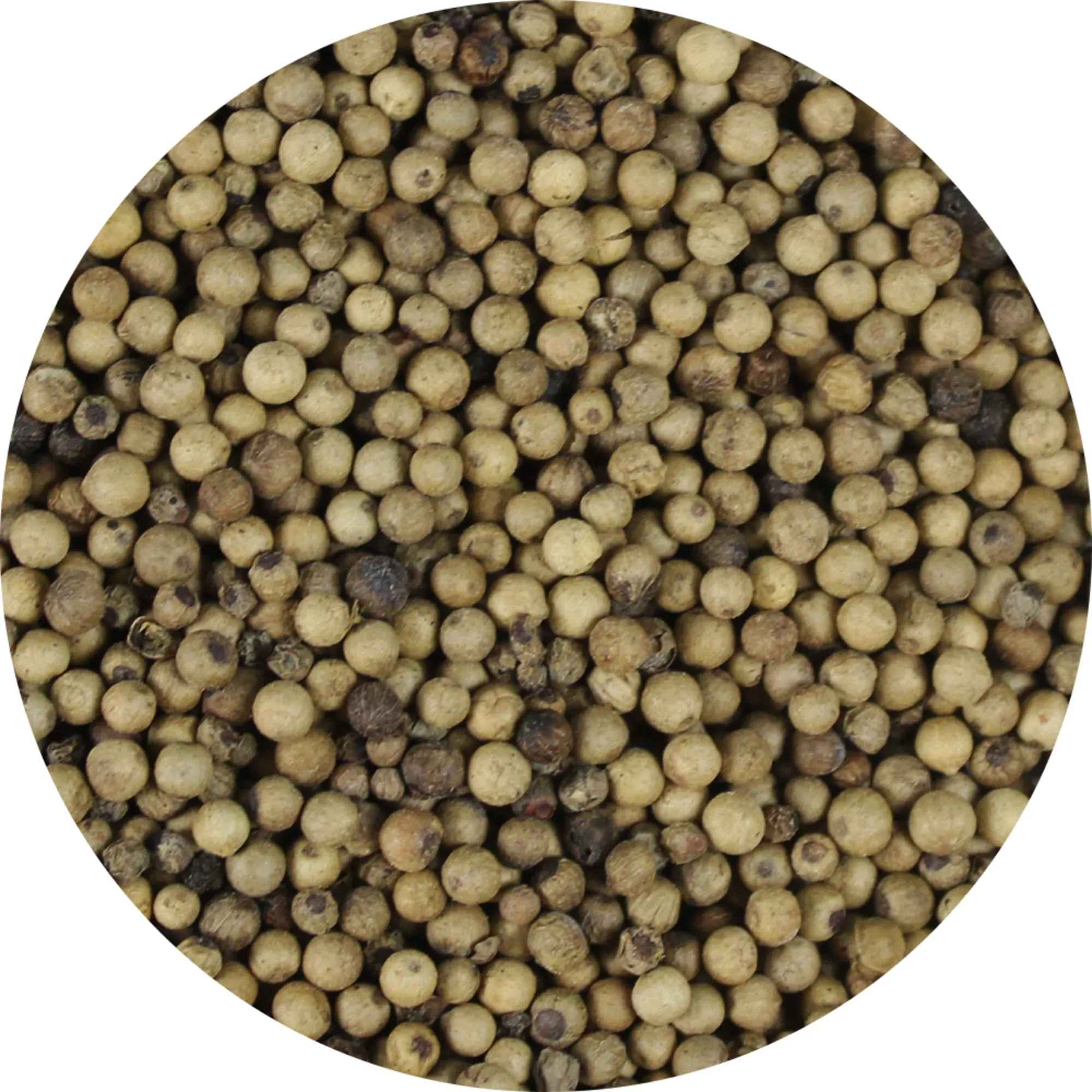 Witte Peperkorrels Kopen | Van Beekum Specerijen Sinds 1908