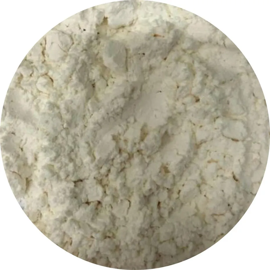 Kaas Aroma Poeder Kopen | Van Beekum Specerijen Sinds 1908